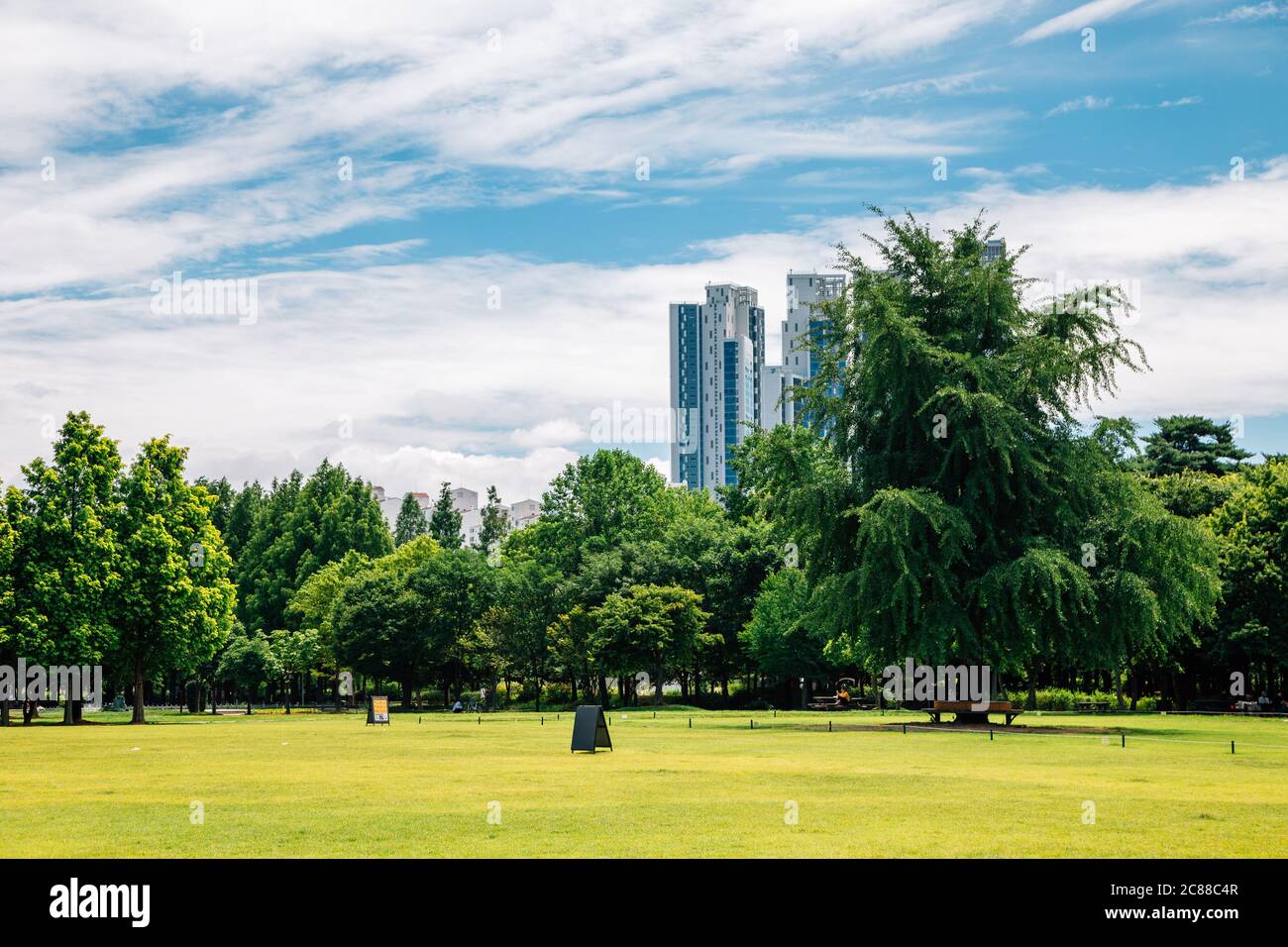 Seoul forest park with modern skyscrapers in Korea Stock Photo - Alamy