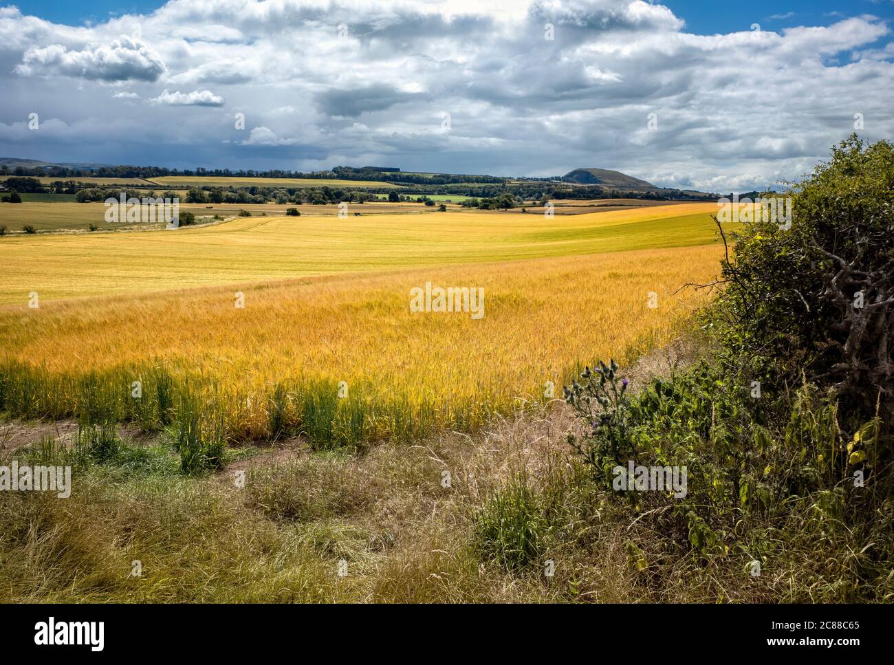Traprain law east lothian hi-res stock photography and images - Alamy