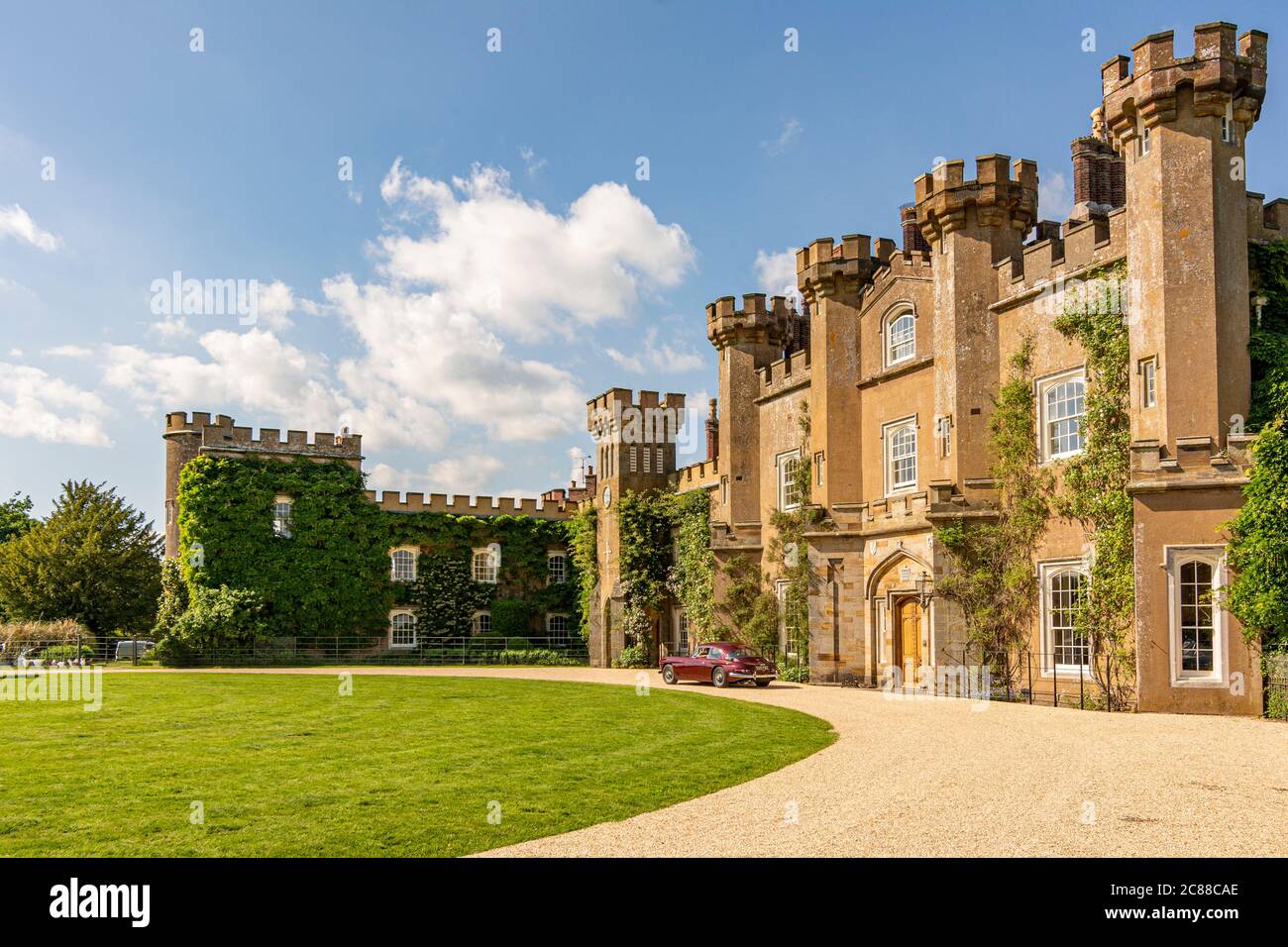 Knepp estate burrell hi-res stock photography and images - Alamy