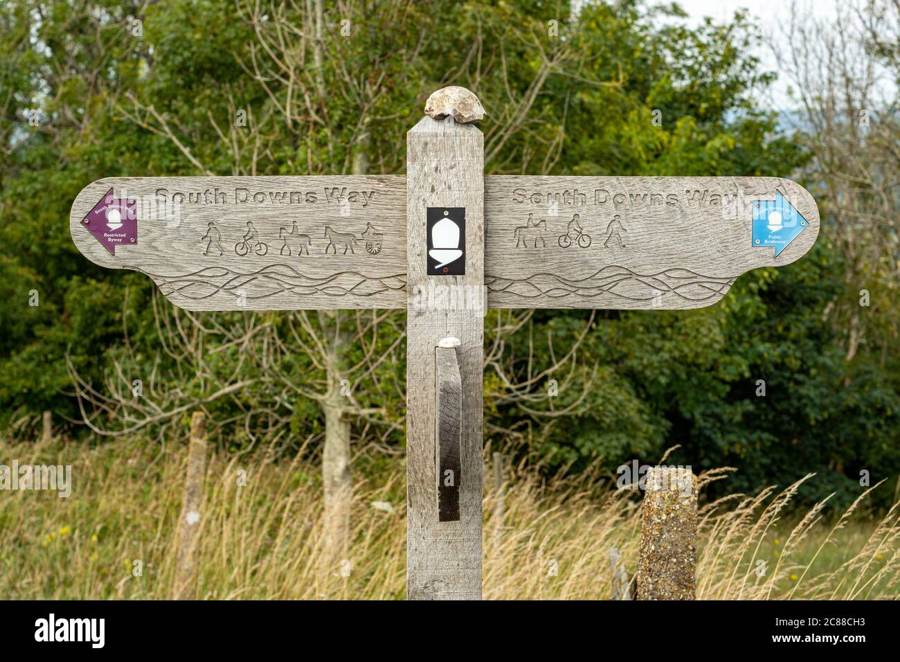 South Downs Way way marker / signpost near Chanctonbury Ring in the ...