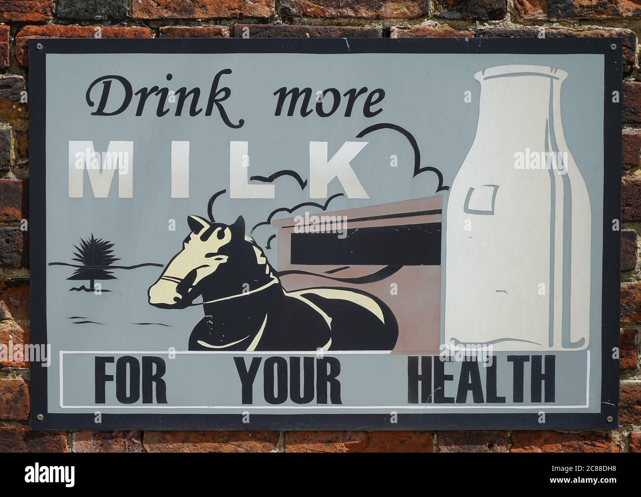 Testimonial Advertising Examples Got Milk