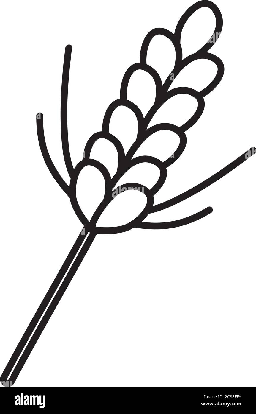 wheat ear icon over white background, line style, vector illustration ...