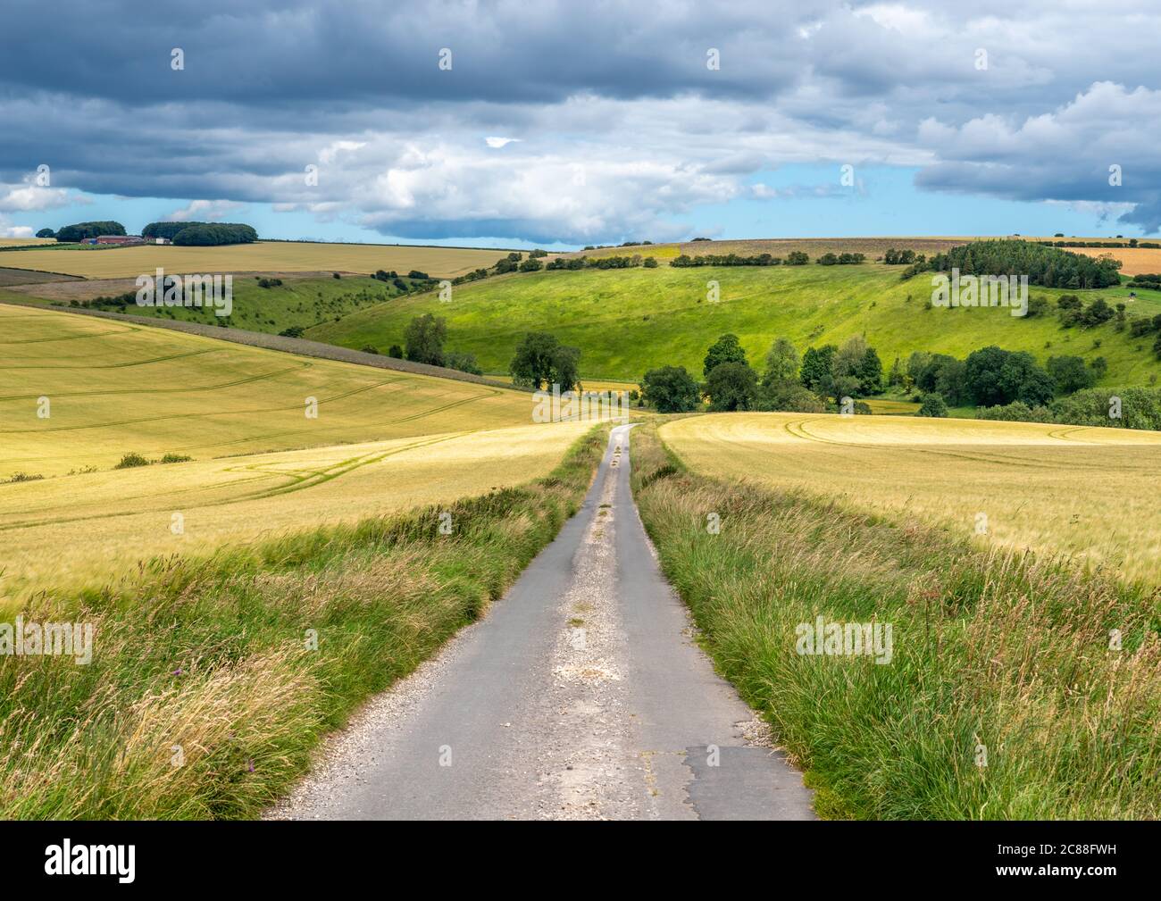 A country lane in Burdale North Yorkshire leading in to the distance ...