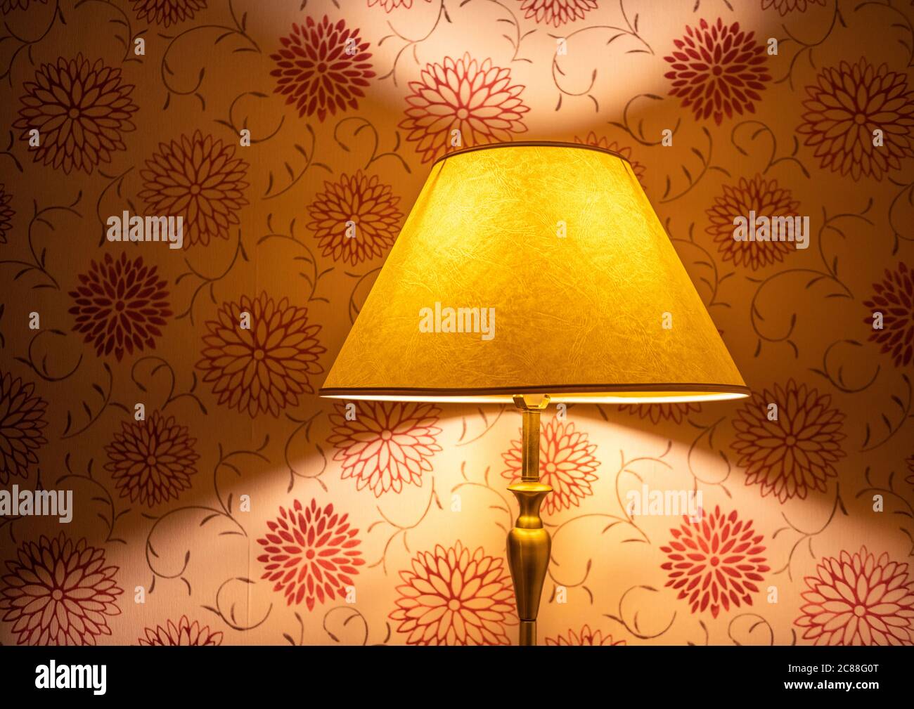 Lamp and shade colorfully lit with a patterned wallpaper background ...