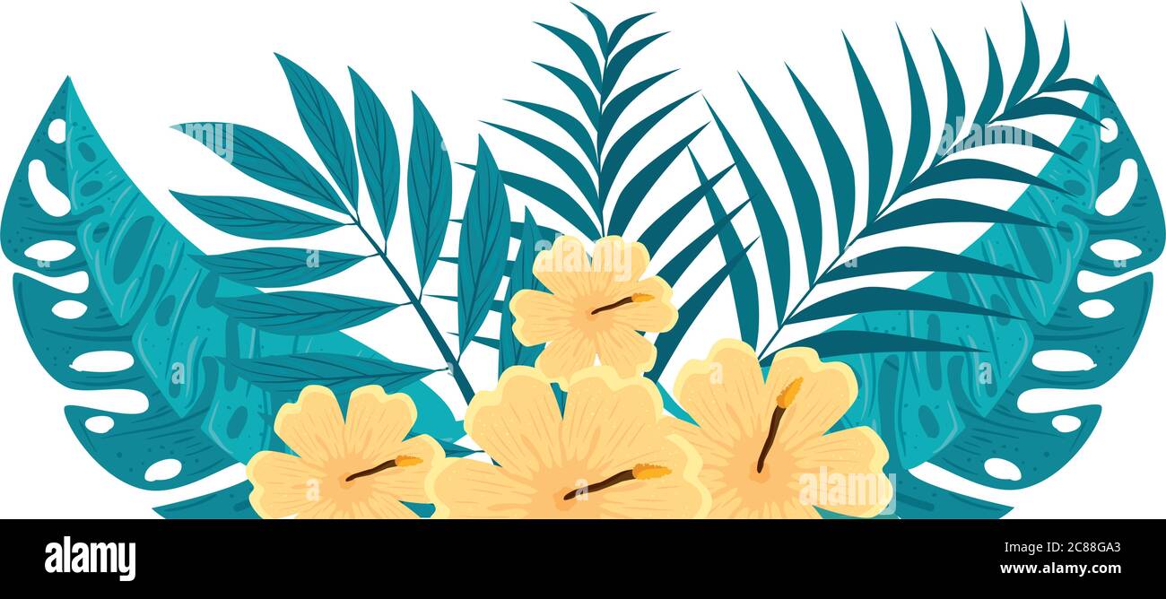 hibiscus decoration beautiful yellow color, with branches and tropical ...