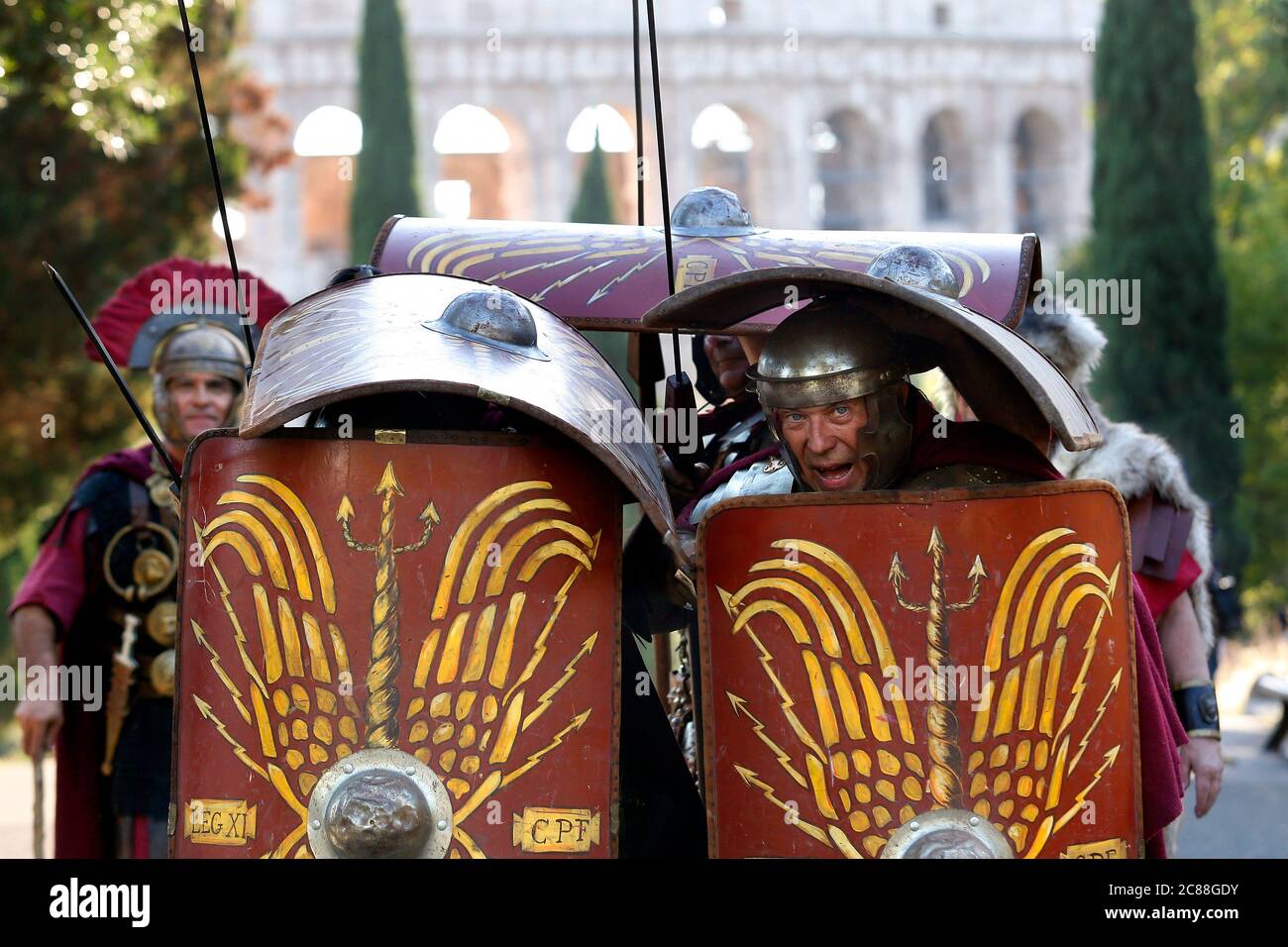 Roman tortoise hi-res stock photography and images - Alamy