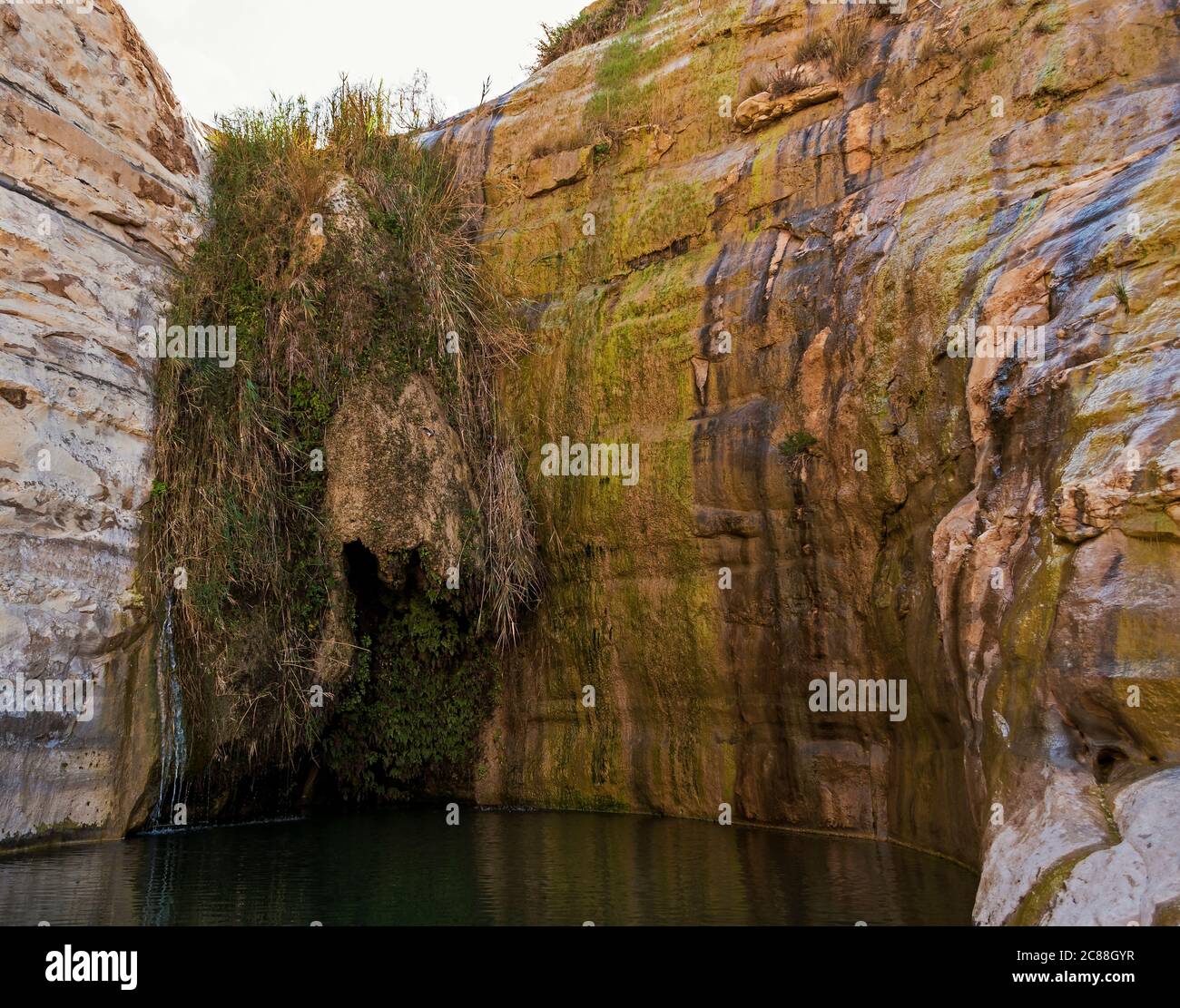 a colorful spring and waterfall forms a pool at the ein akev spring in ...