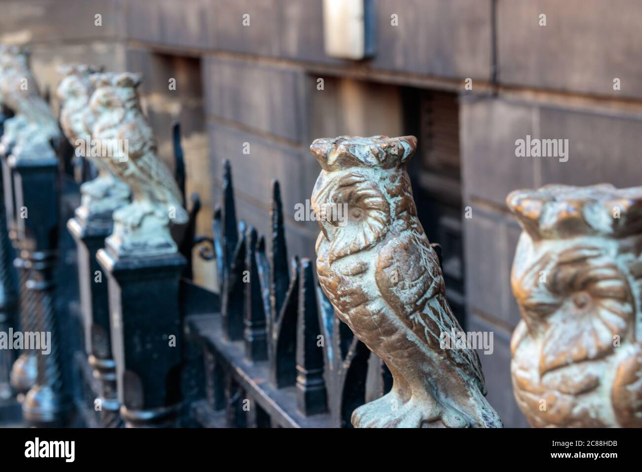 View of Leeds Owl sculptures on the top of railings outside the Central ...