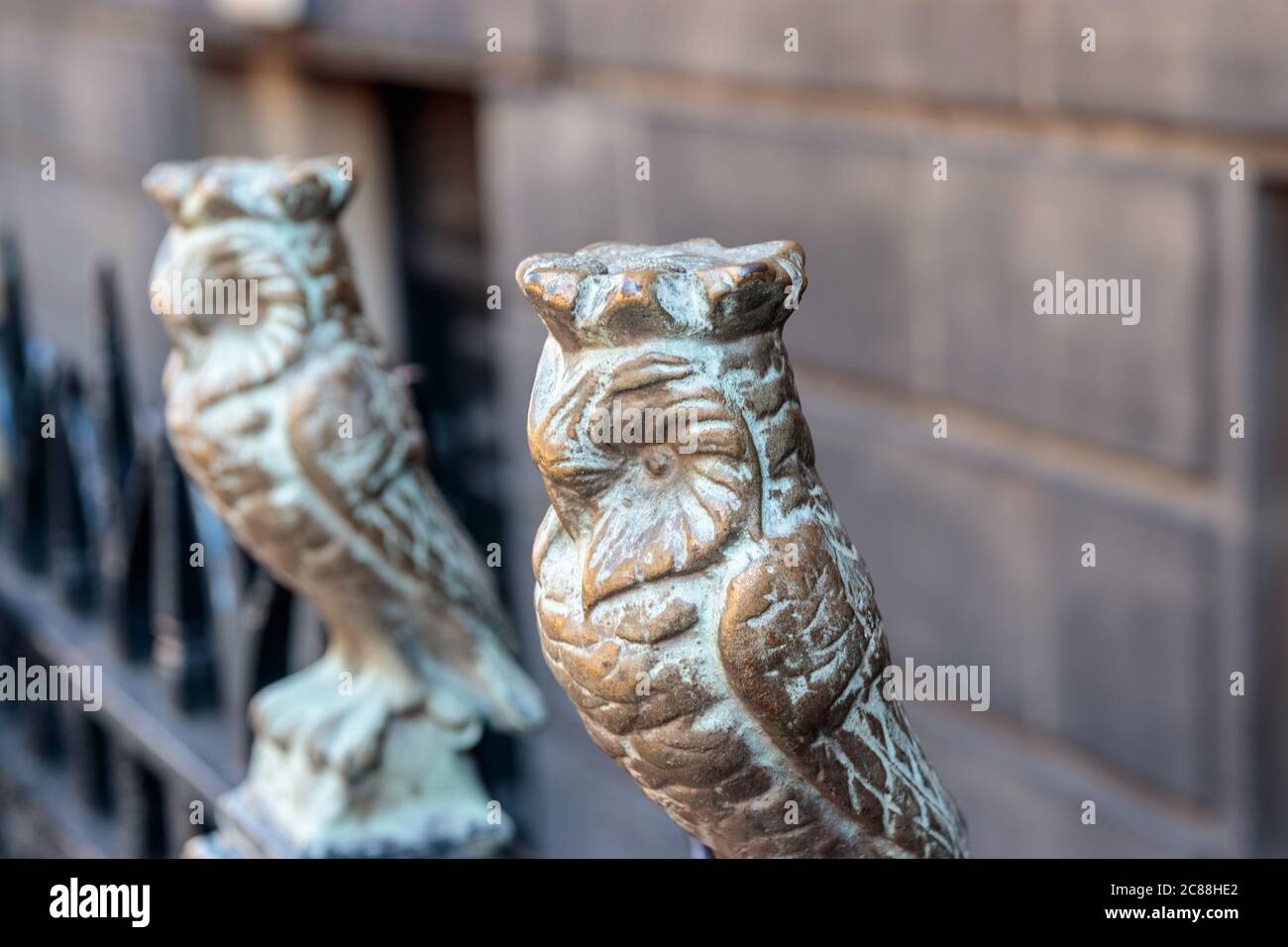 View of Leeds Owl sculptures on the top of railings outside the Central ...