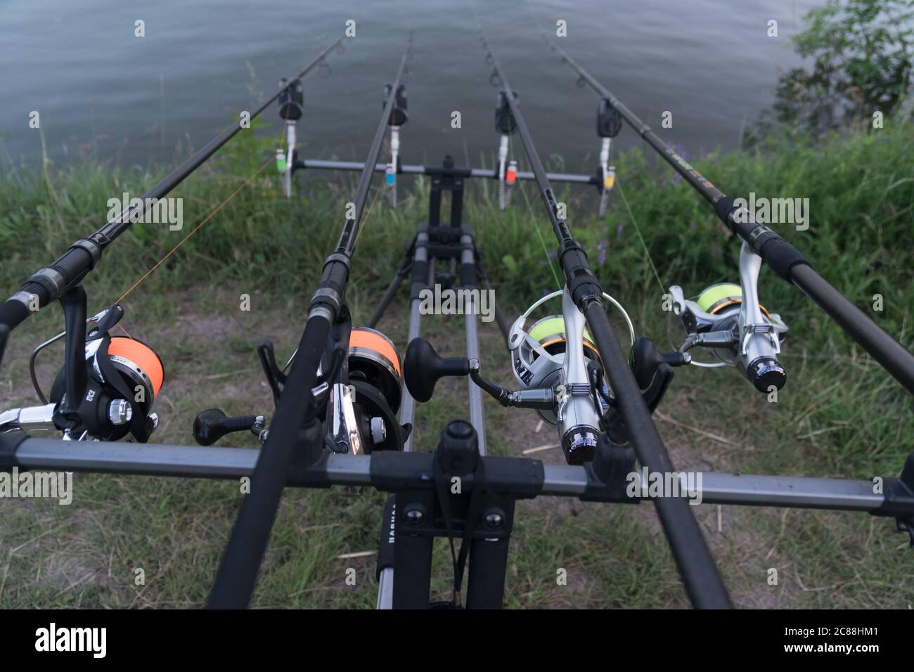 Looking along three carp rods towards a pond. Carp fishing Stock Photo ...