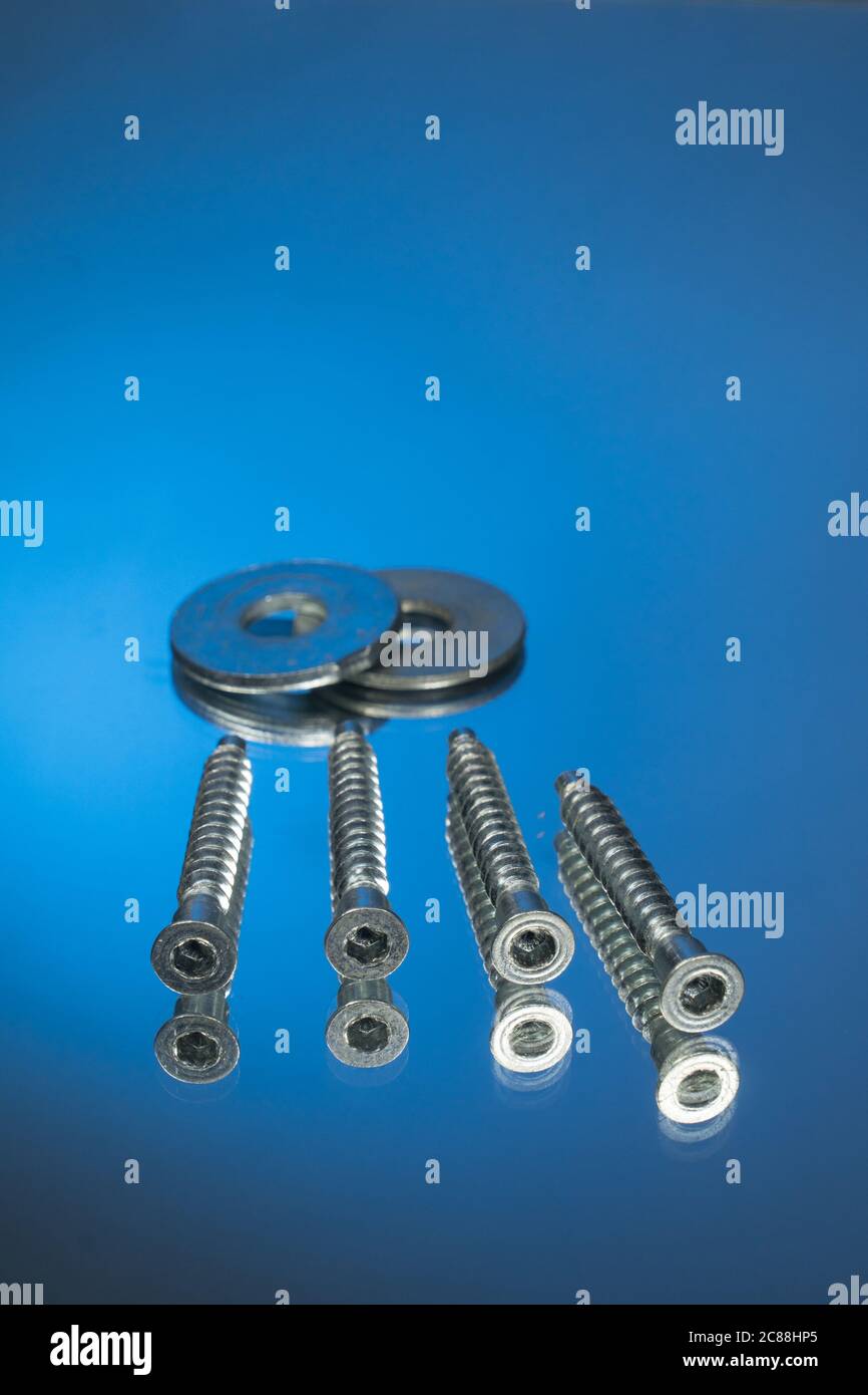 Countersunk wood screws on a blue background Stock Photo - Alamy