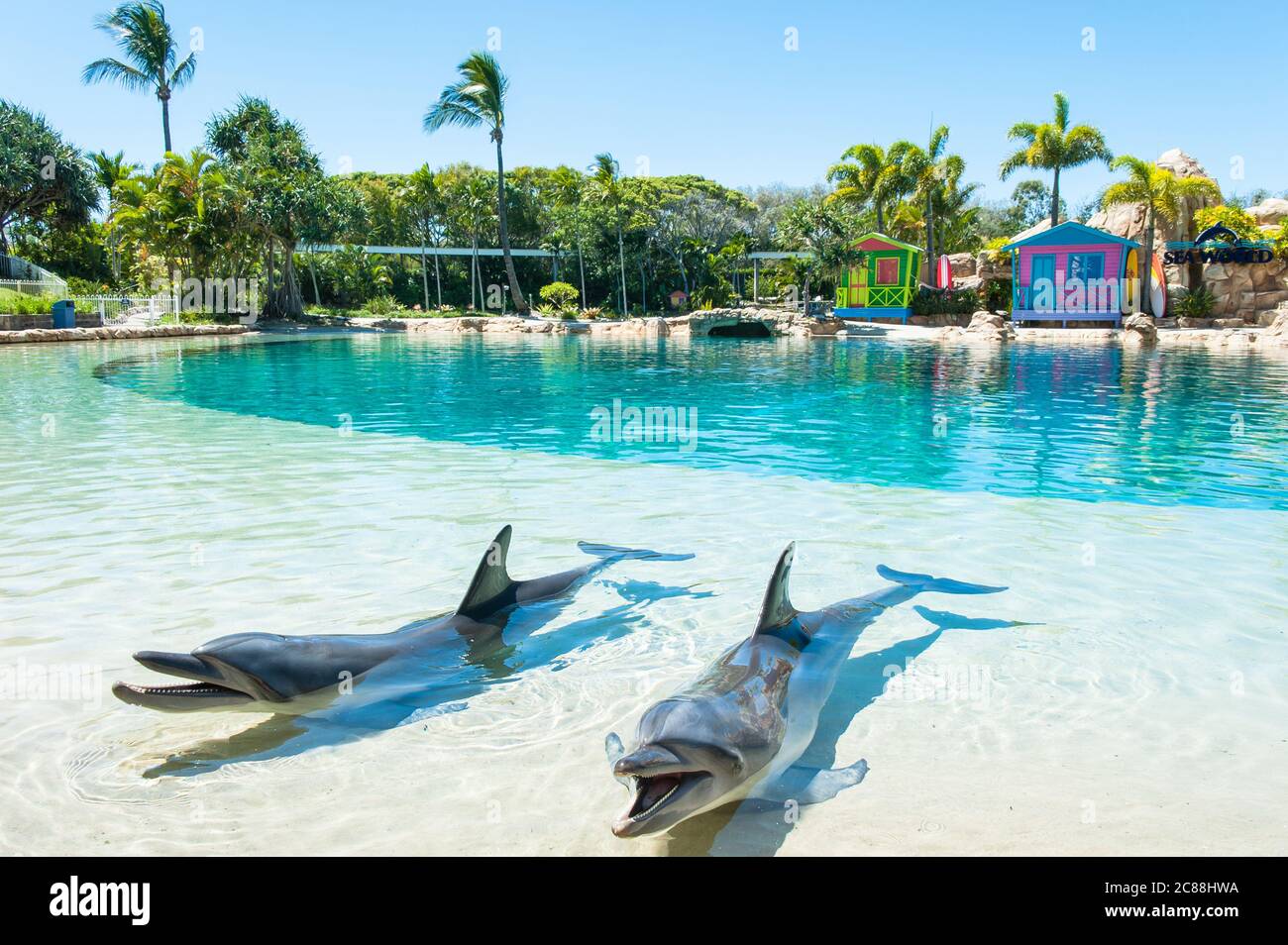 Gold coast theme park australia hi-res stock photography and images - Alamy