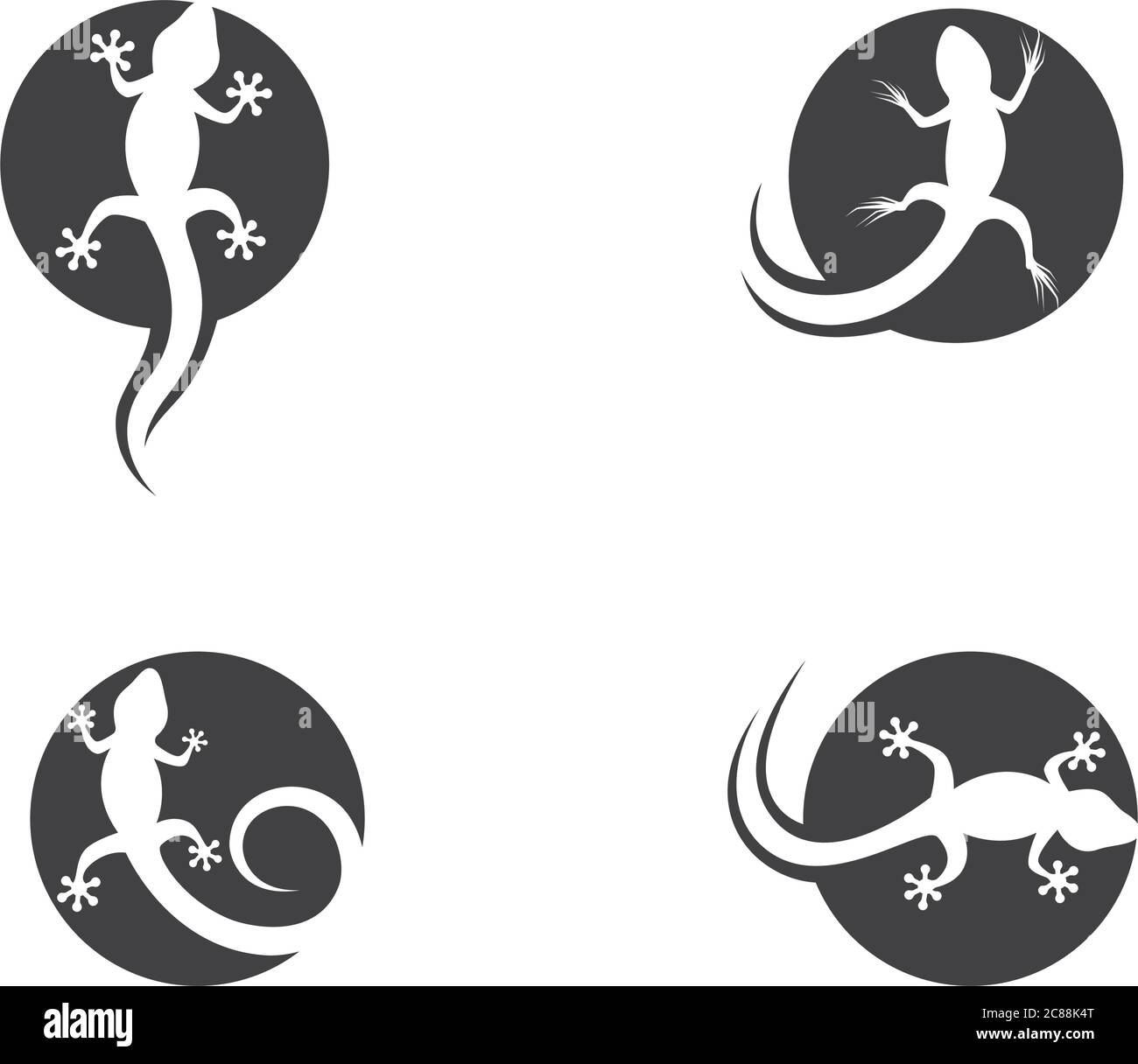 Lizard logo template vector icon illustration design Stock Vector Image ...