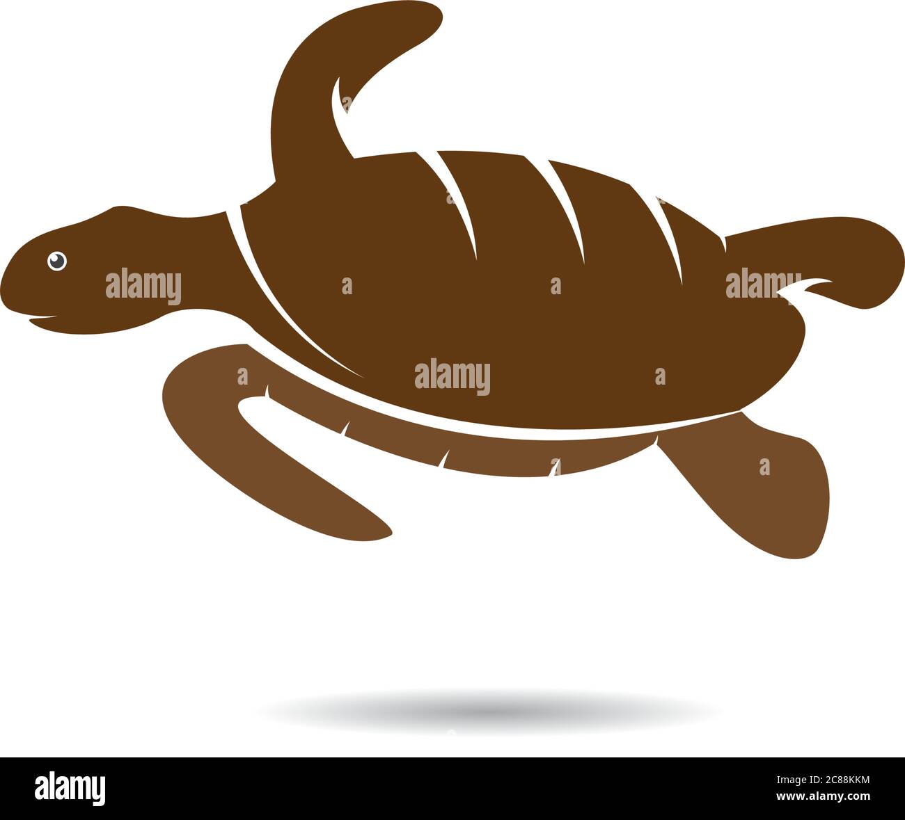 Turtle animal cartoon icon image vector illustration design Stock ...