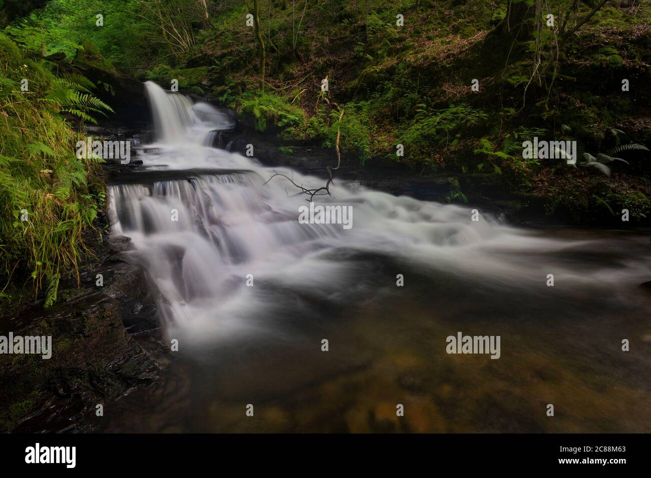 The waterfall at Melincourt Brook Stock Photo - Alamy