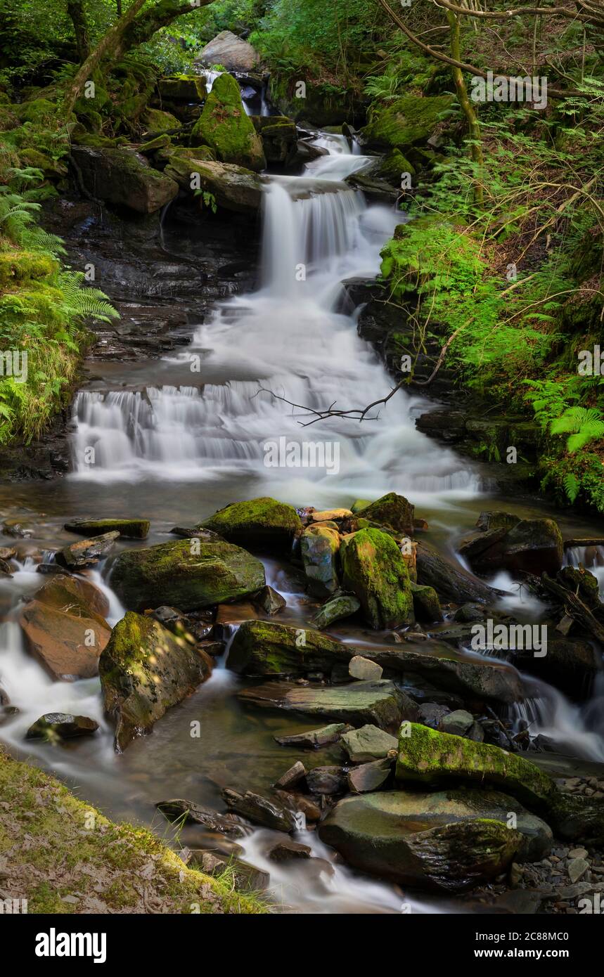 The main waterfall at Melincourt Brook Stock Photo - Alamy