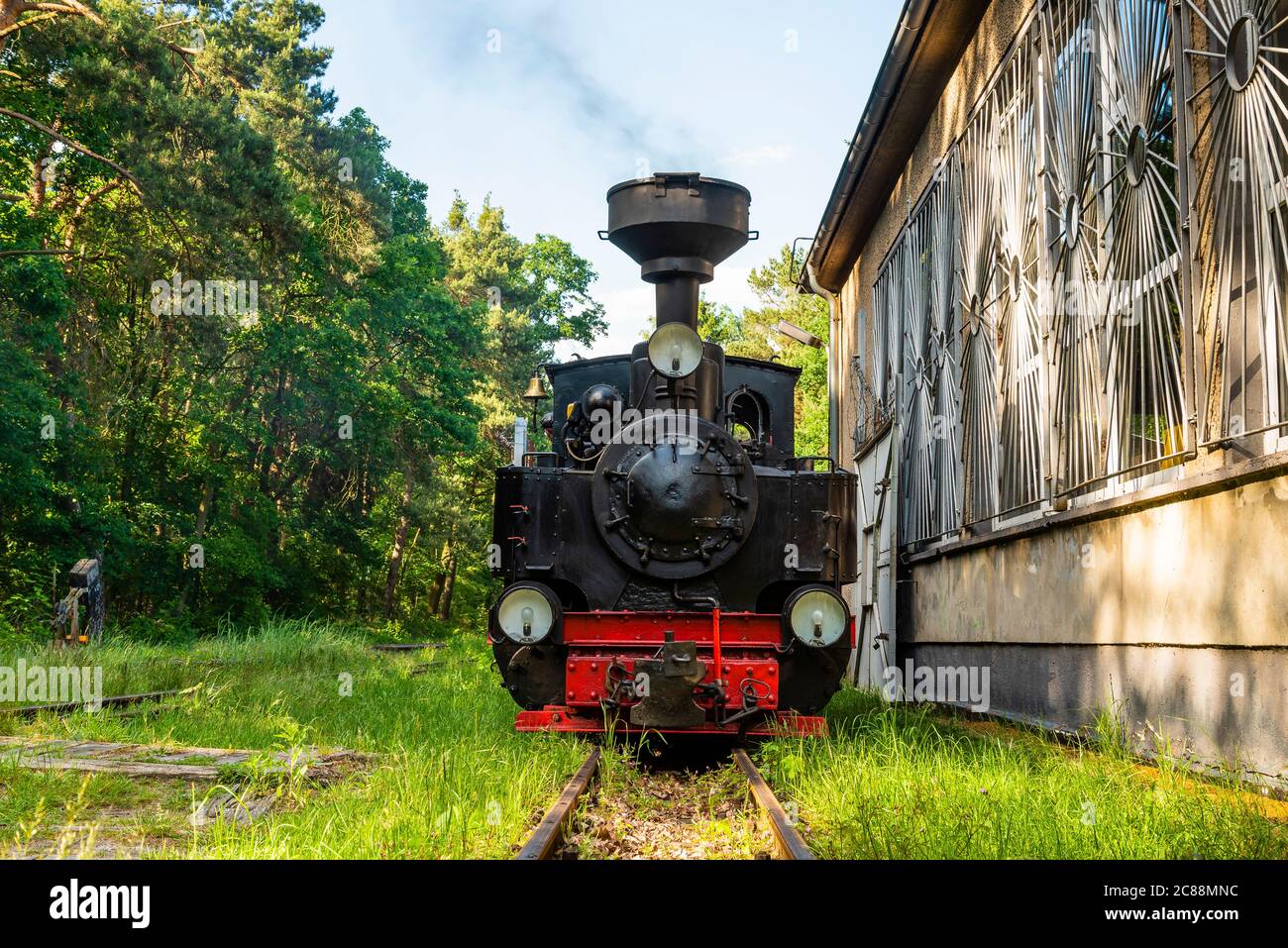 Narrow-gauge railway in a forest, narrow-gauge steam locomotive in a ...