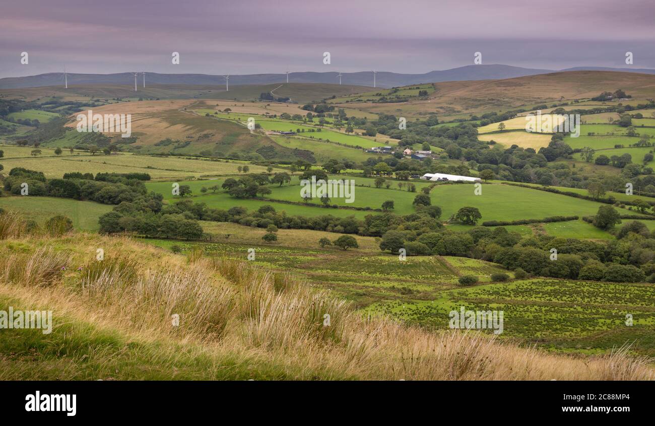 Wind turbines on green grass hi-res stock photography and images - Alamy