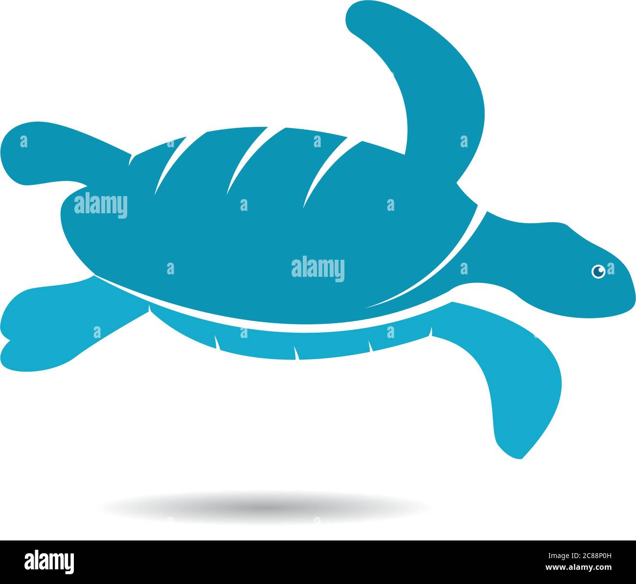 Turtle animal cartoon icon image vector illustration design Stock ...
