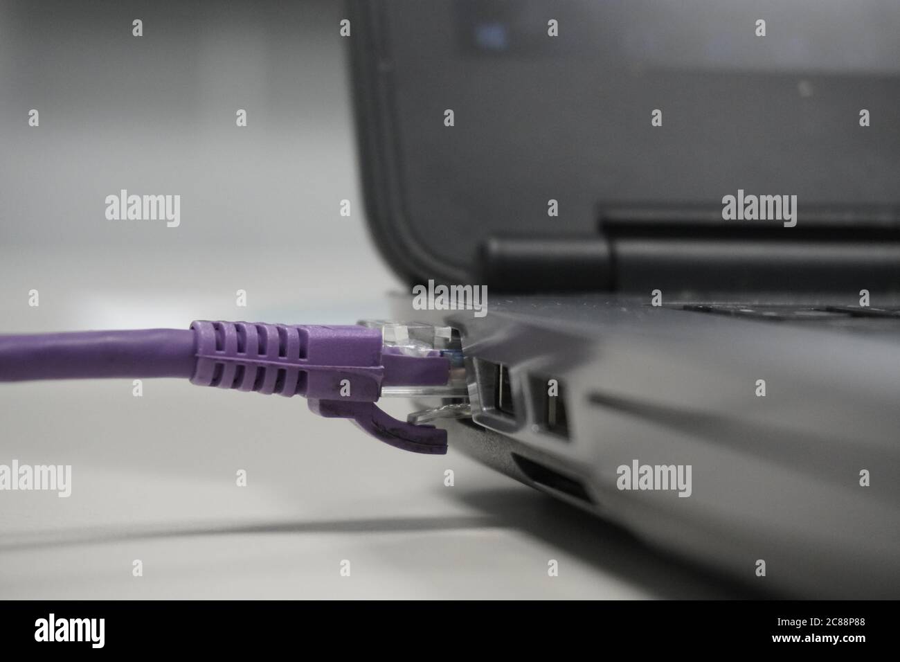 Closeup of a purple network connection cable to a LAN port of laptop ...