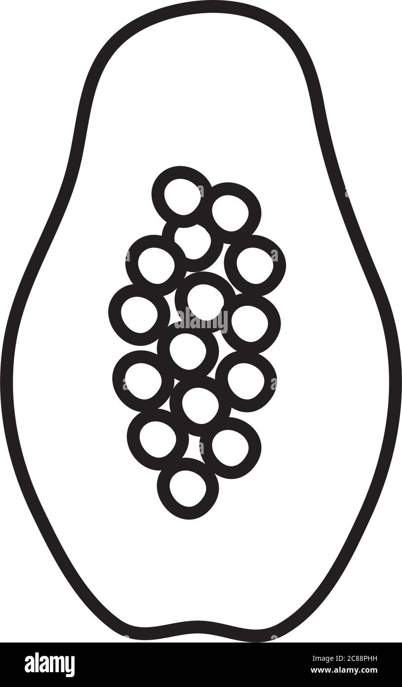 pawpaw fruit icon over white background, line style, vector ...