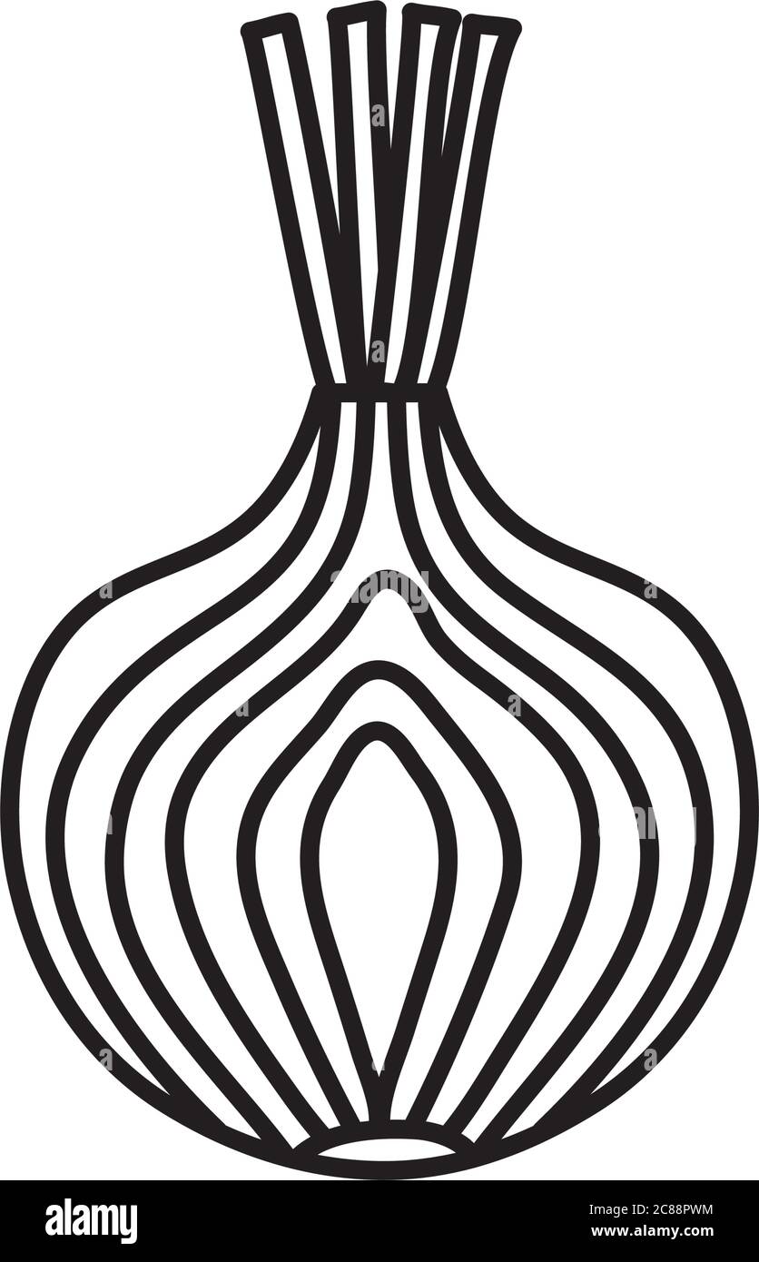 red onion icon over white background, line style, vector illustration ...