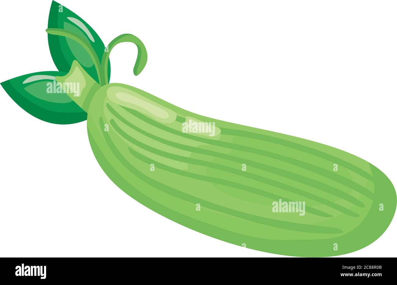 courgette healthy vegetable detailed style icon vector illustration ...
