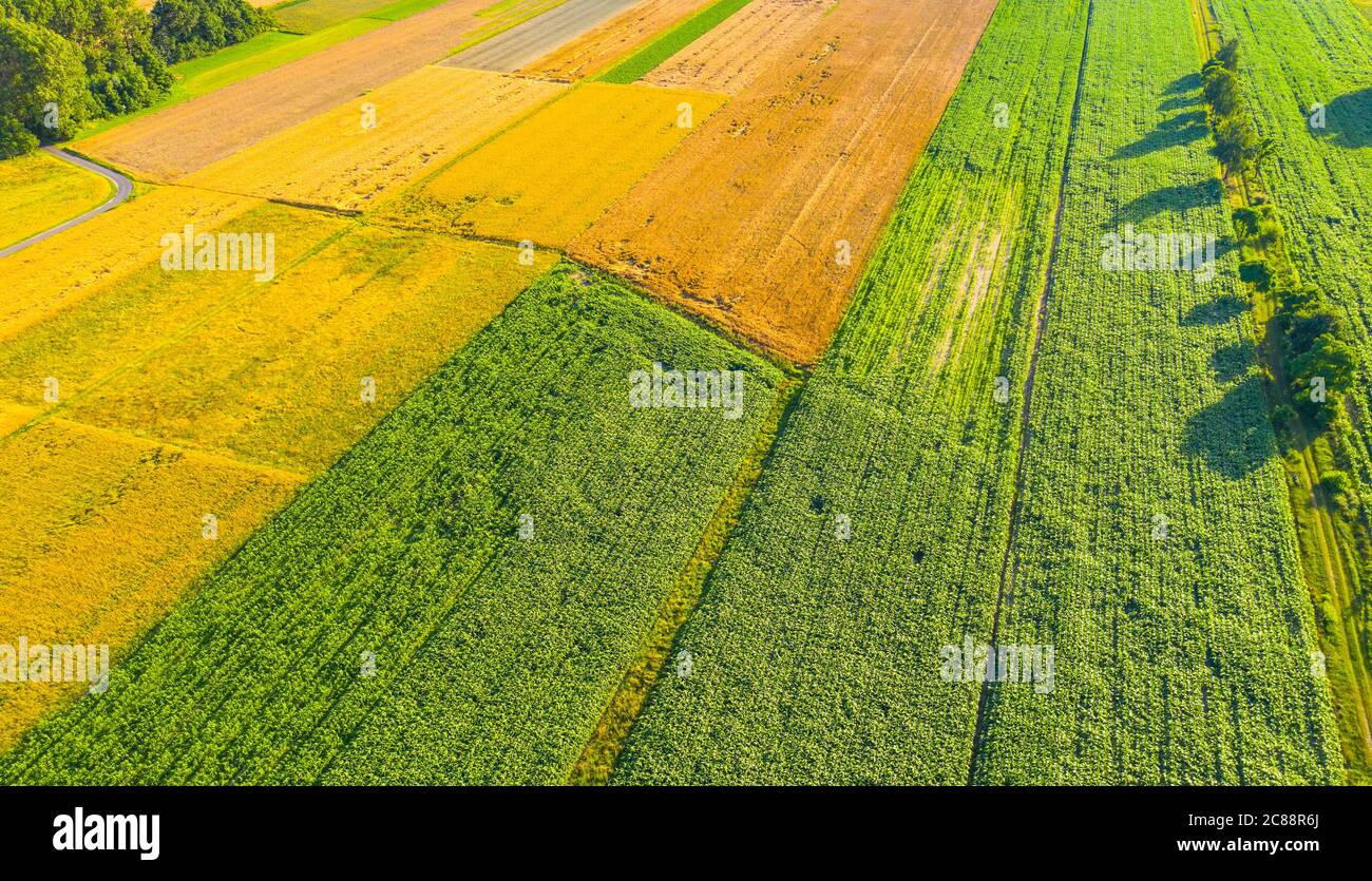 Abstract geometric shapes of agricultural parcels of different crops in ...