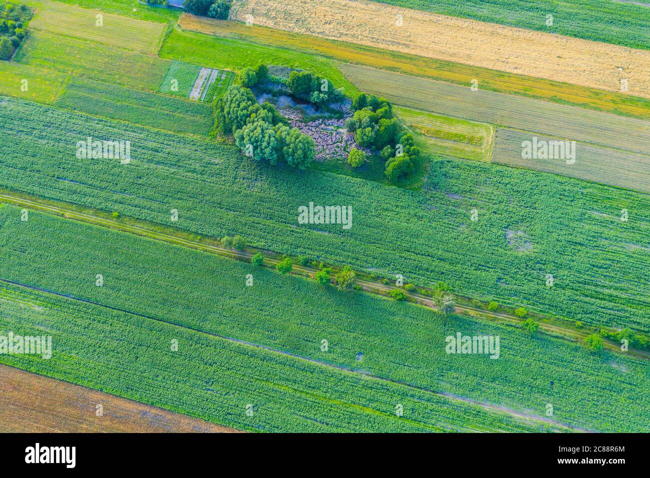 Abstract geometric shapes of agricultural parcels of different crops in ...