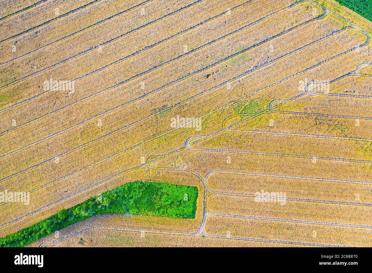 Abstract geometric shapes of agricultural parcels of different crops in ...