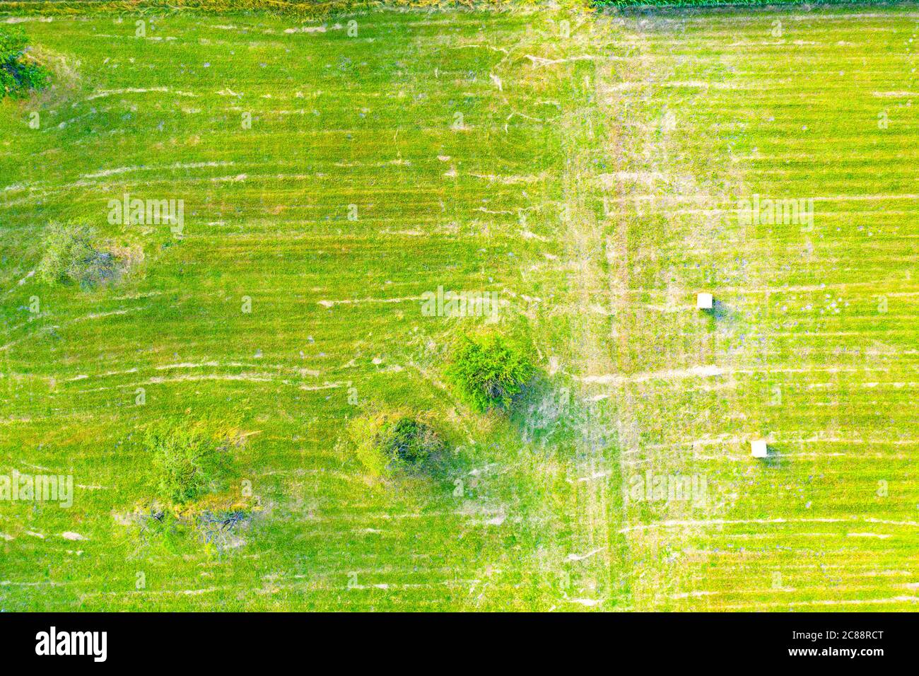 Vertical stripes of agricultural parcels of different crops. Aerial ...