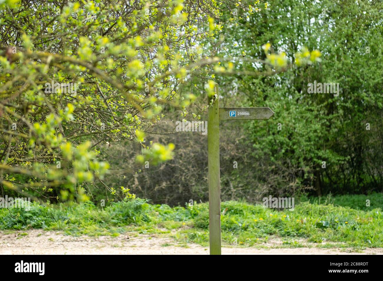 Isolated view of a wooden signpost seen at the edge of a natural nature ...
