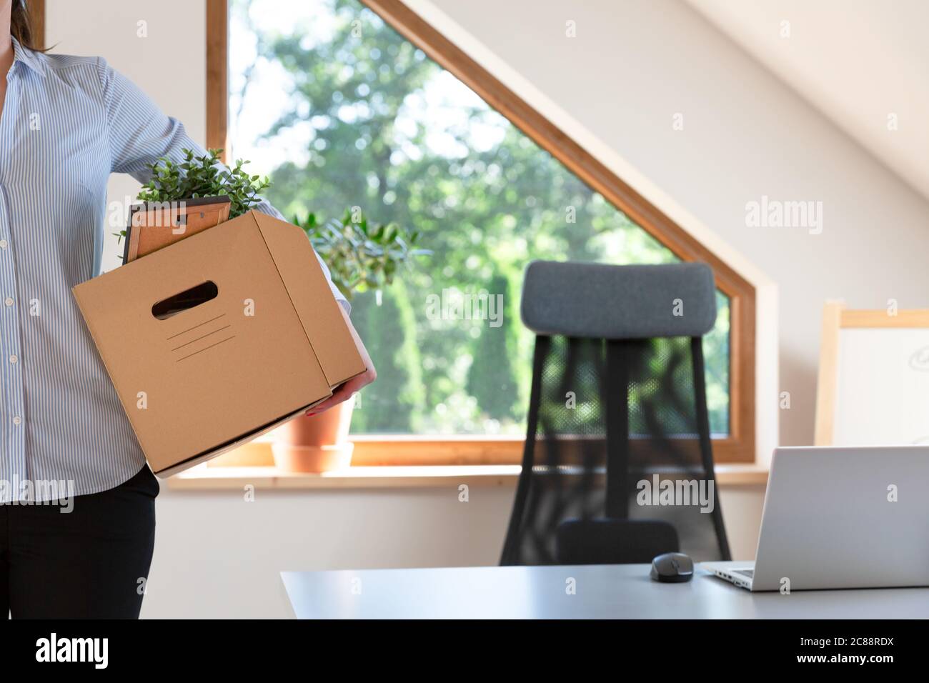 Beautiful business woman carrying a box of office stuff. New work ...