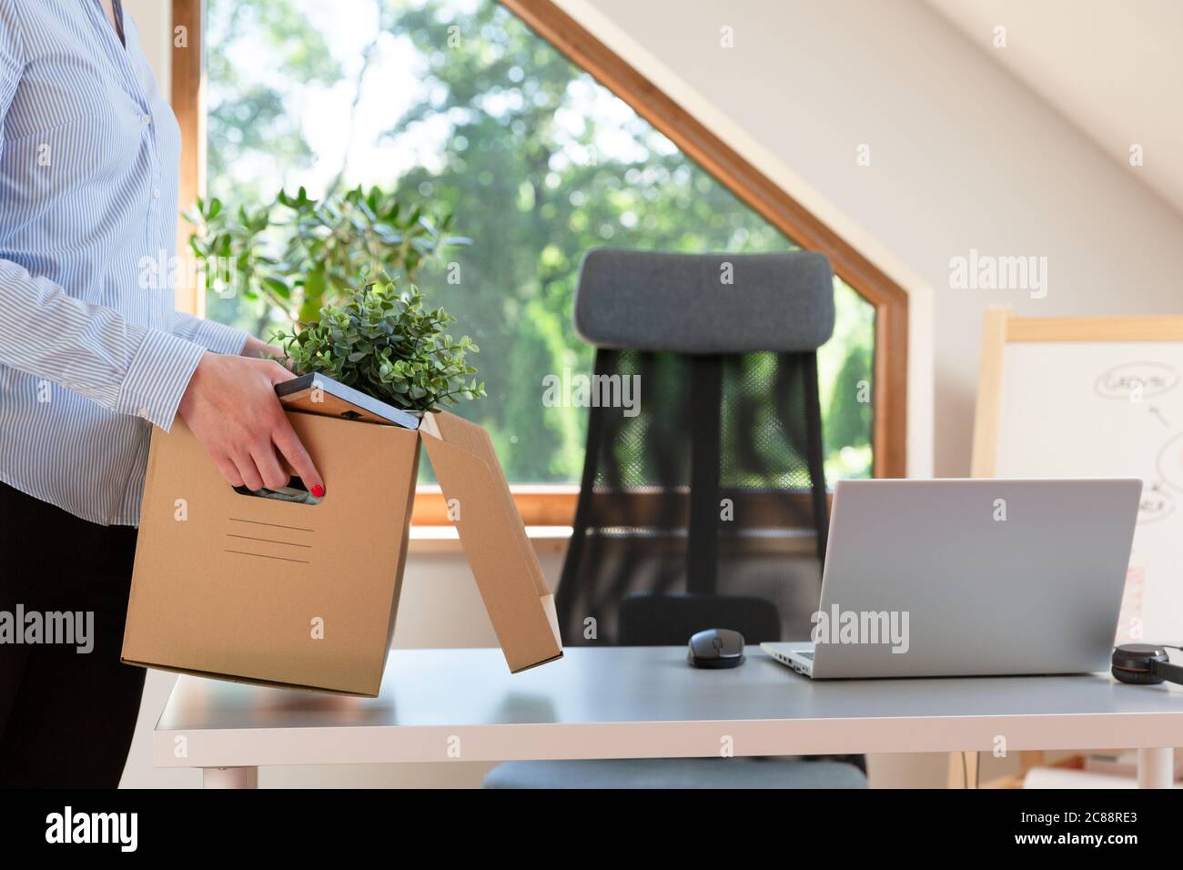 Beautiful business woman carrying a box of office stuff. New work ...