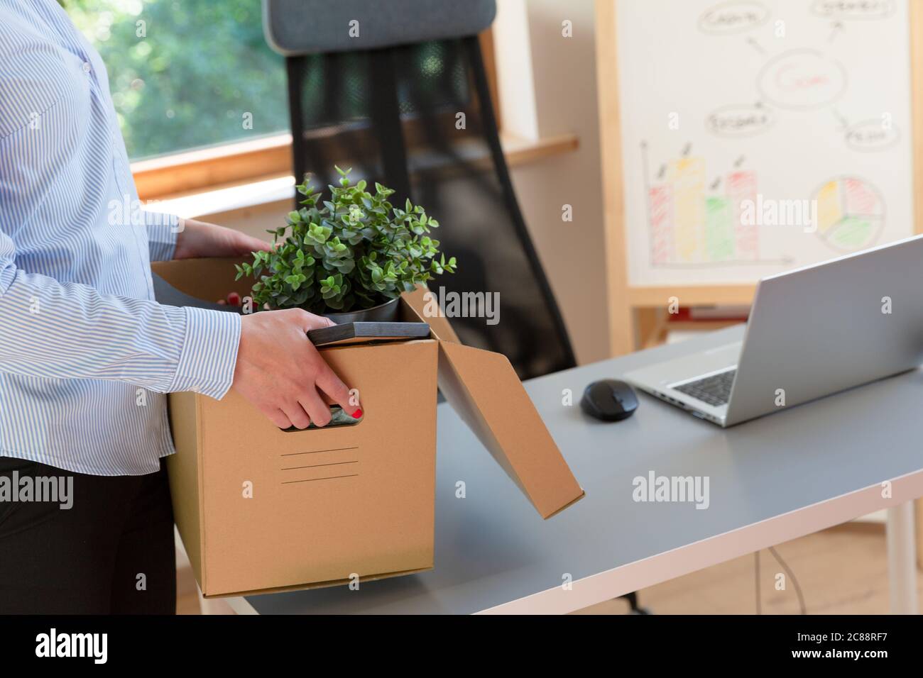 Beautiful business woman carrying a box of office stuff. New work ...