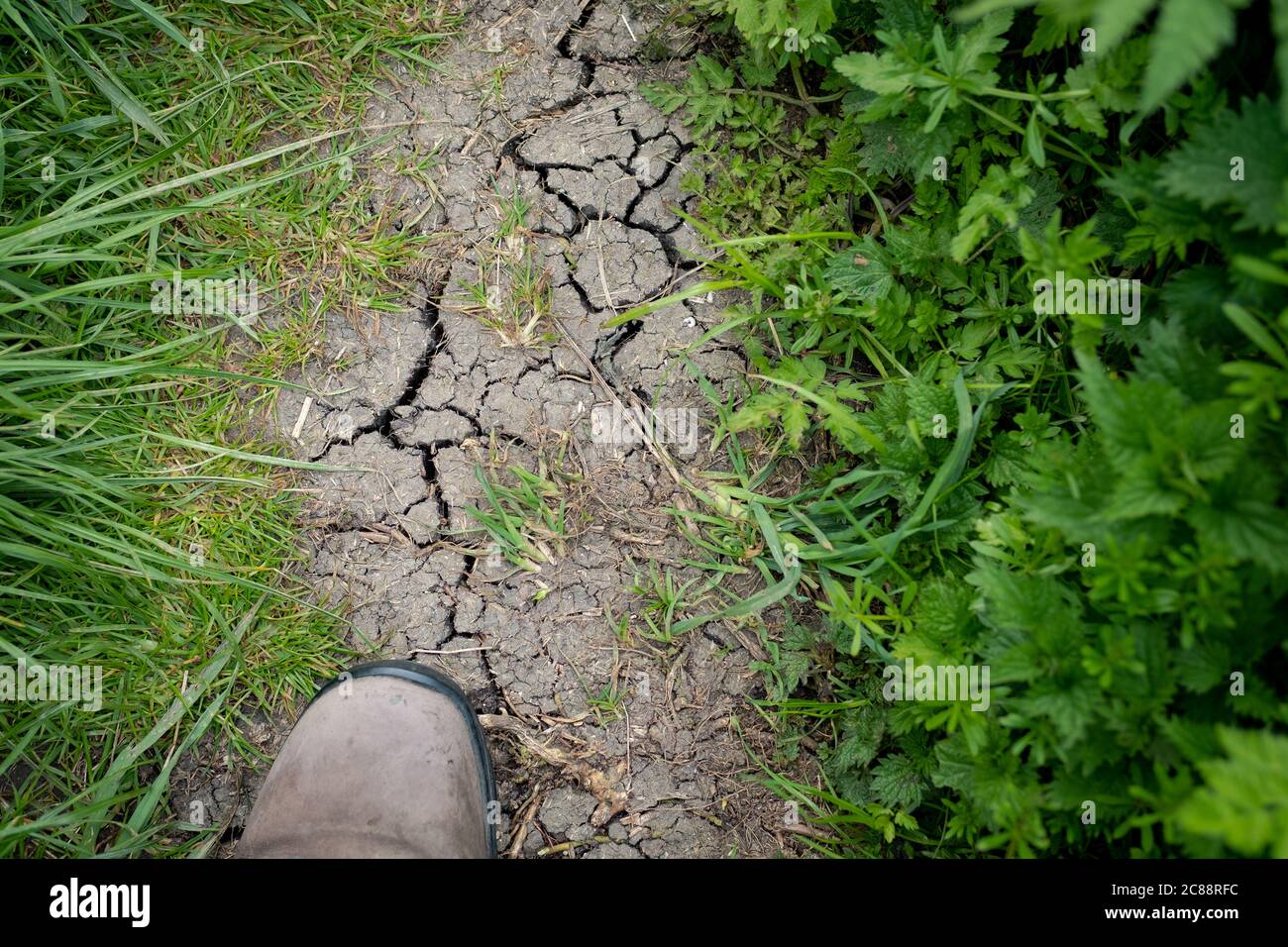Dry, arid natural footpath seen in a rural location, seen after a ...