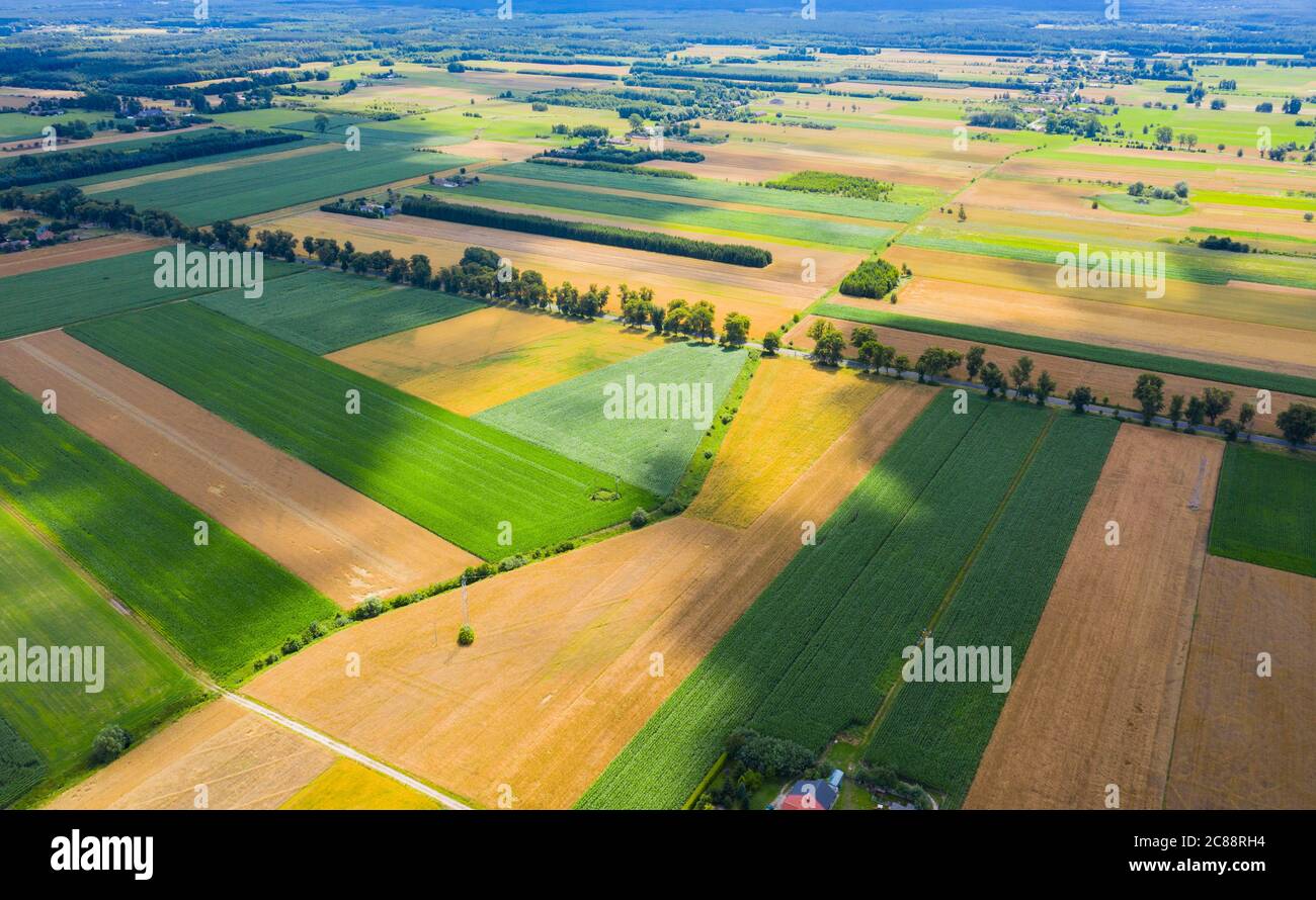 Aerial agricultural landscape, Big field ready to harvest aerial view ...