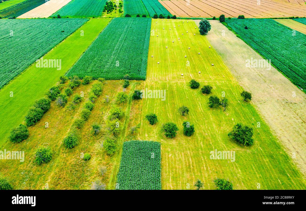 Aerial top view photo from flying drone of a land with sown green ...