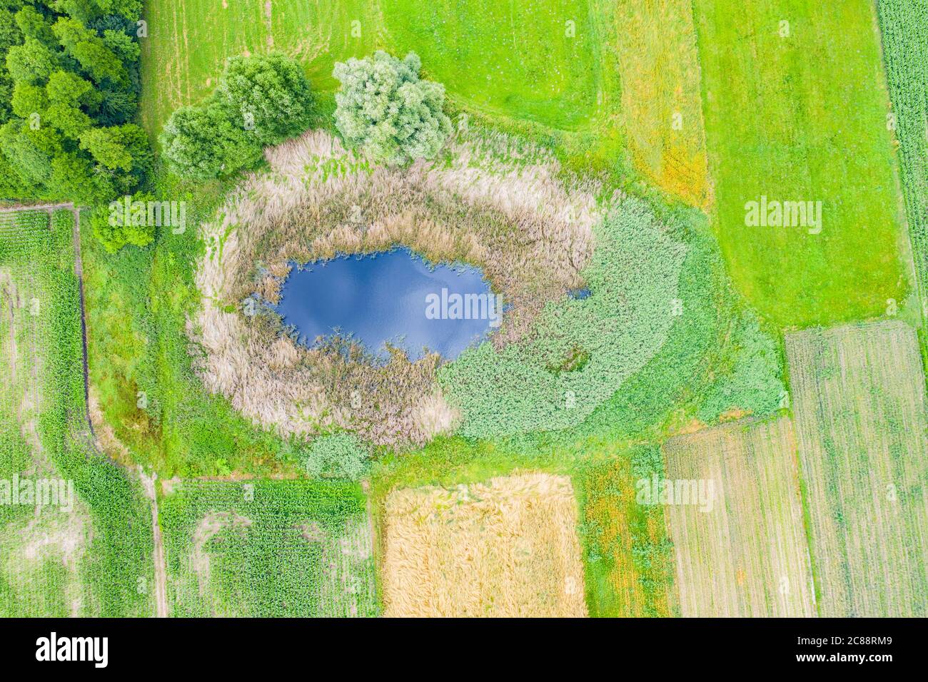Aerial view of natural pond surrounded by pine trees. Europe Stock ...