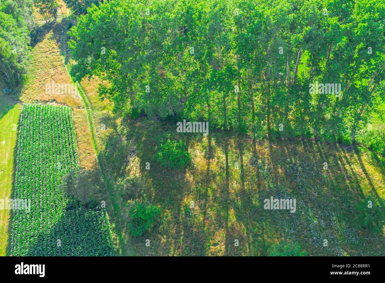 Aerial view of agricultural fields in Europe, Poland. Beautiful ...