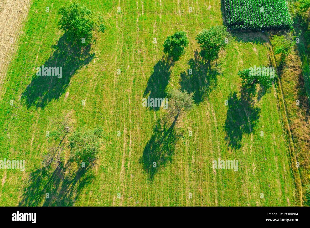Aerial view of agricultural fields in Europe, Poland. Beautiful ...