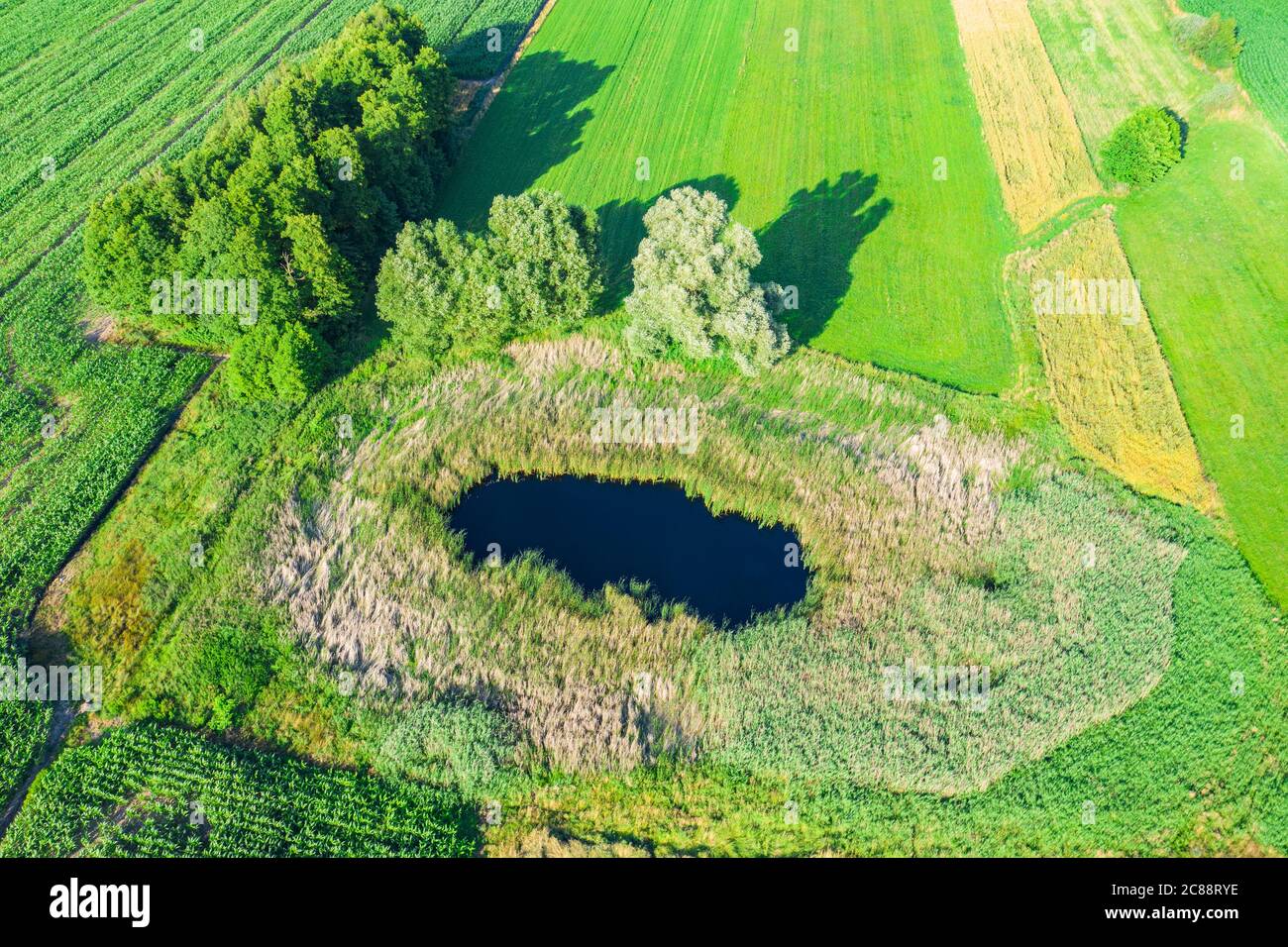 Aerial view of natural pond surrounded by pine trees. Europe Stock ...
