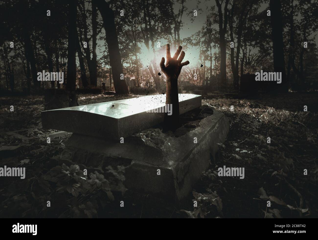 Hand rising out from the grave Stock Photo - Alamy