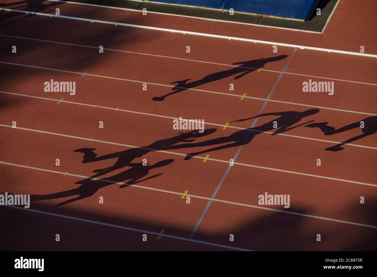 Glycolysis hi-res stock photography and images - Alamy