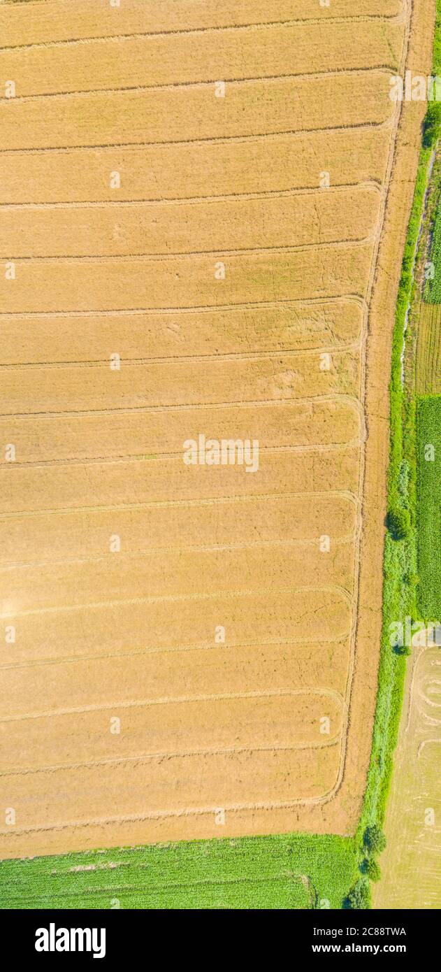 Top aerial panoramic view of green fields and meadows in summer ...