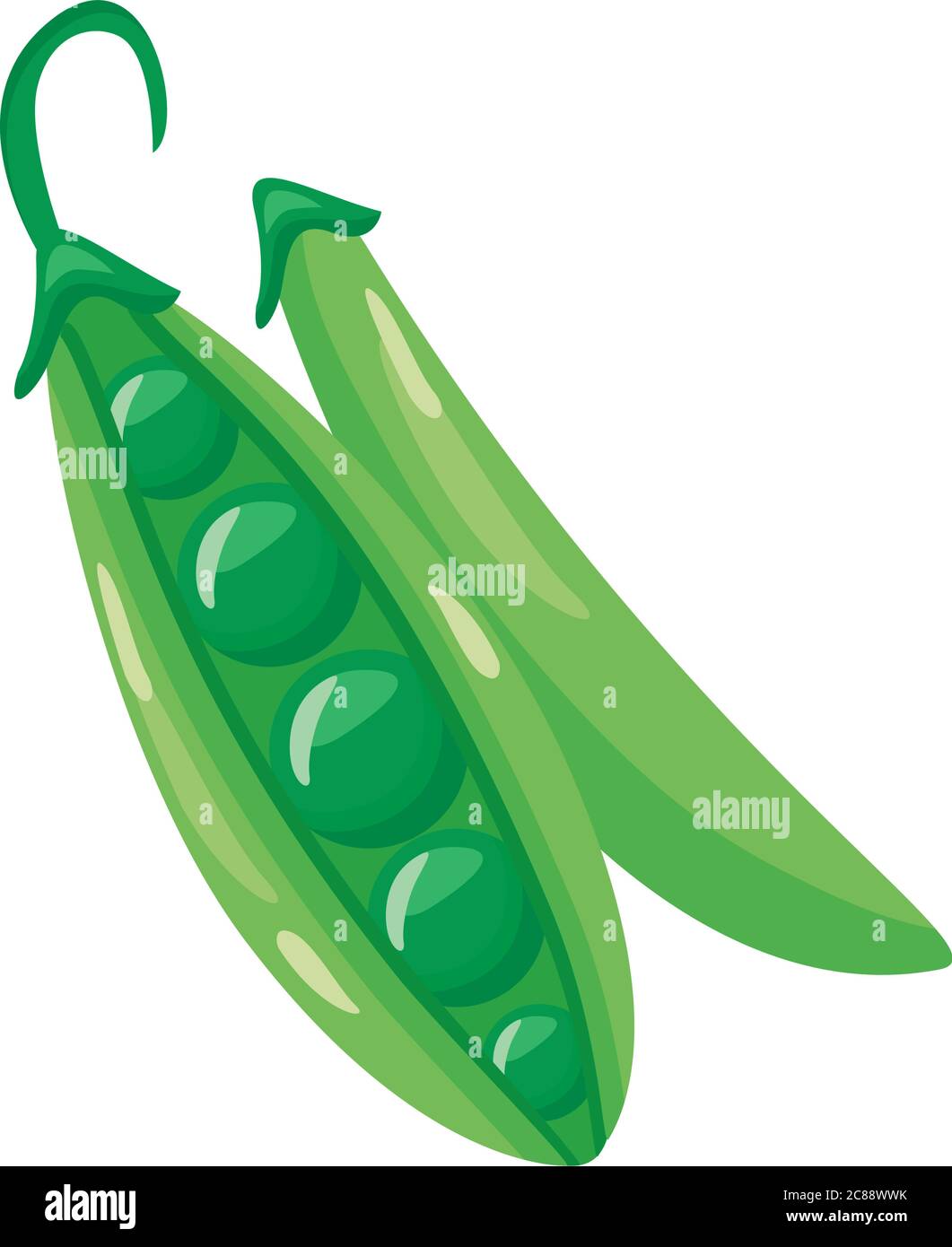 pea healthy vegetable detailed style icon vector illustration design ...