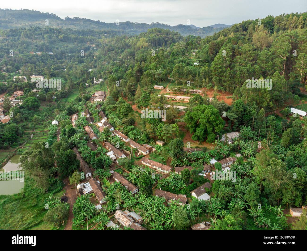 Aerial Drone Shot of Terraces on a Slope of Mountain in Lushoto village ...
