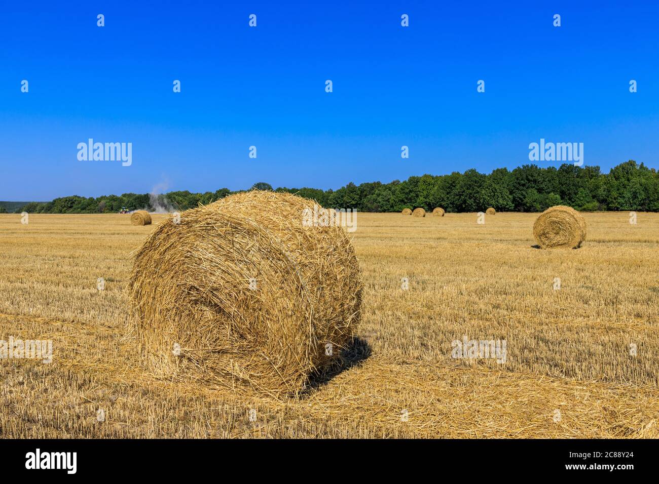 Rolls of haystacks on the field hi-res stock photography and images - Alamy