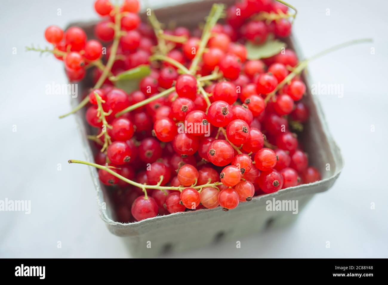 Red currants in punnet on white background Stock Photo - Alamy