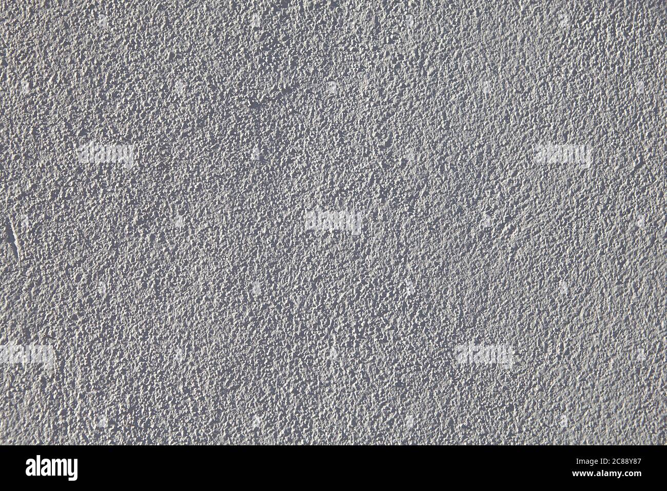 Light gray texture of granular painted plaster. The surface of a rough ...